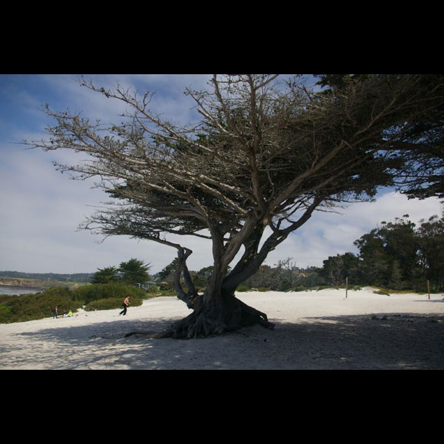 Carmel